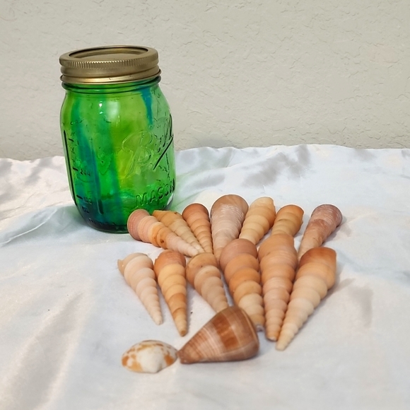 Accents | Mason Jar Of Shells | Poshmark